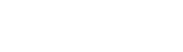 Home - PKD Express